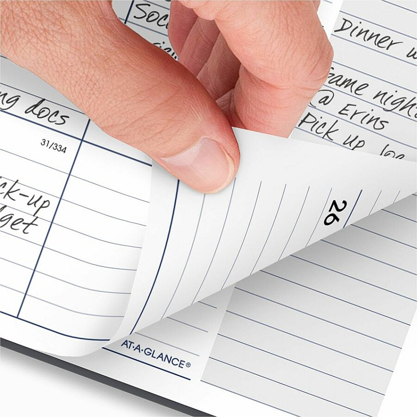AT-A-GLANCE DayMinder Planner (GC47007)