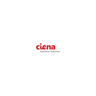 Ciena Pto Kit,3906,large 480 Nfv Compute Serve (CSMN-AT0602) | SuperWarehouse.com