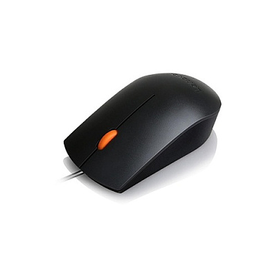 Lenovo Kb Mice_bo 300 Usb Mouse (GX30M39704) | SuperWarehouse.com