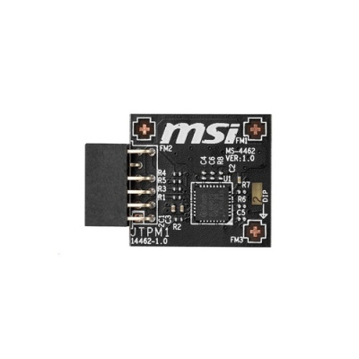 MSI Infineon 9670 Tpm 2.0(fw 7.85) Module (TPM2SPI) | SuperWarehouse.com