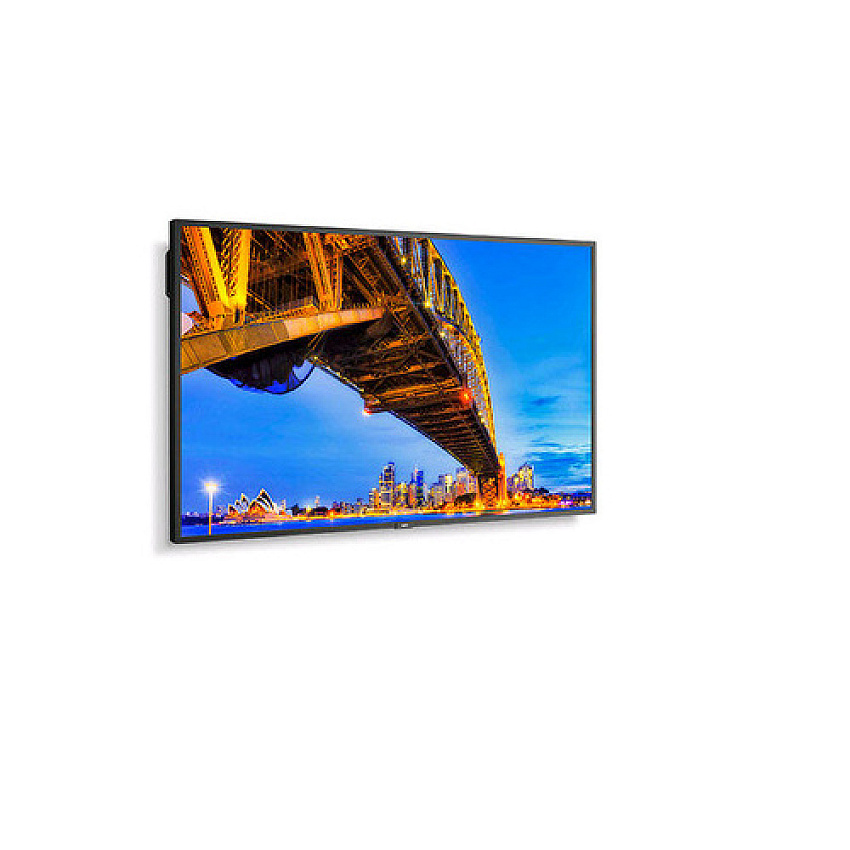 NEC Multisync (ME431)